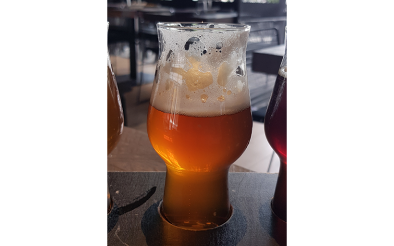 German IPA from BRŁO – Hiking with Beer